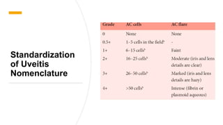 Uveitis Clinical features | PPTX