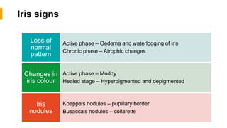 Uveitis Clinical features | PPTX