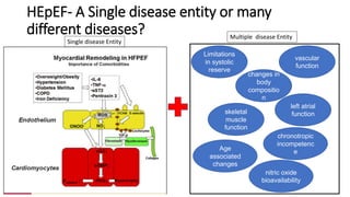 diastolic heart failure an enemy in cardiology | PPT