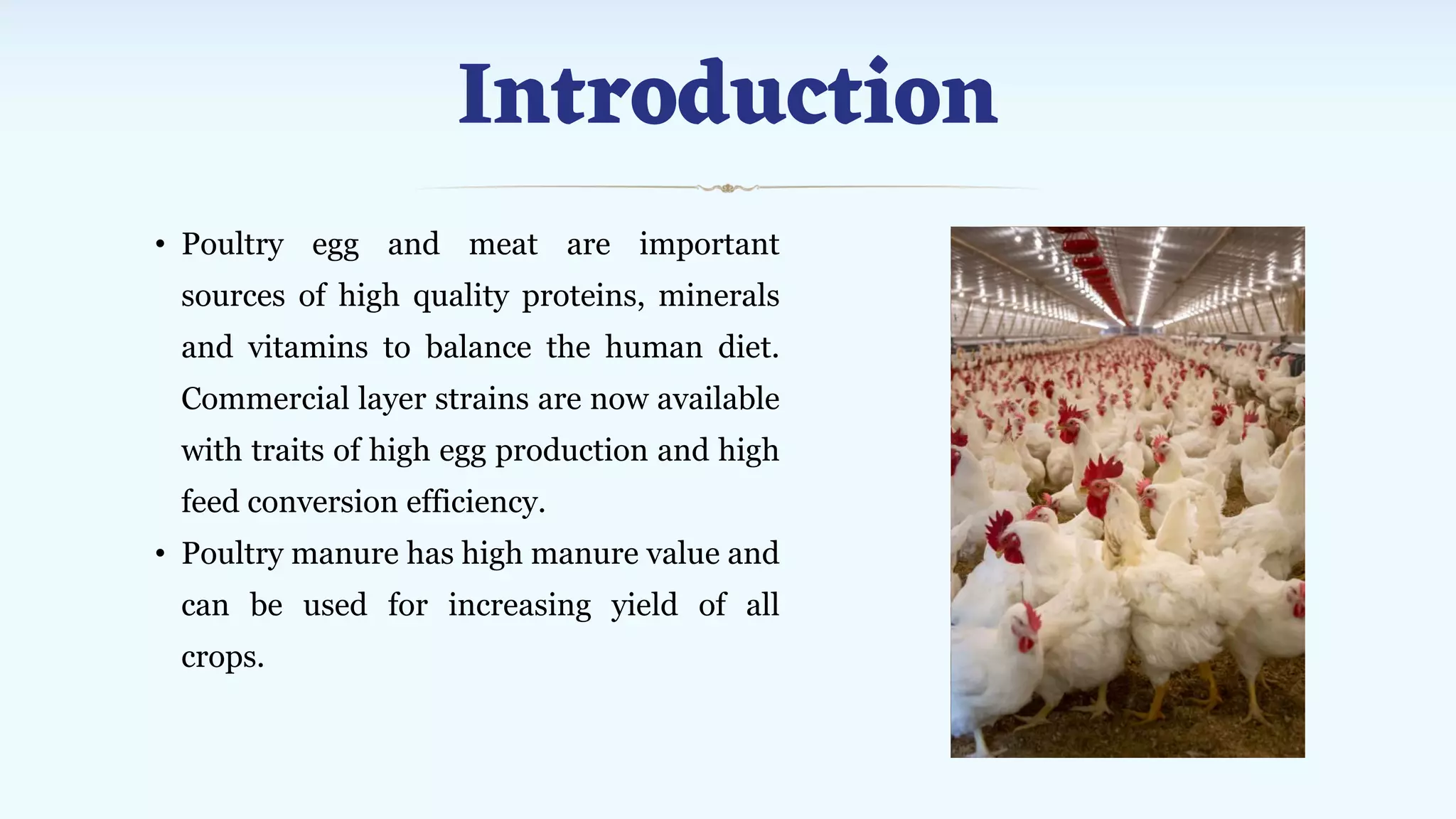 Rahul_kr_ layer farming.pptx