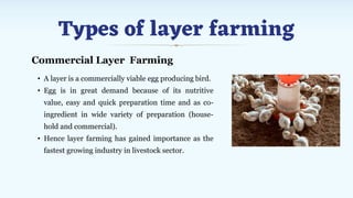 Rahul_kr_ layer farming.pptx