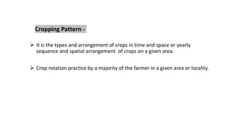 Area Specific Cropping System in Relation to Farmers Economy..pptx