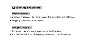 Area Specific Cropping System in Relation to Farmers Economy..pptx