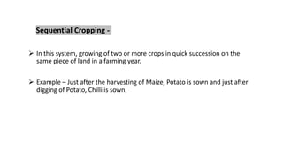 Area Specific Cropping System in Relation to Farmers Economy..pptx