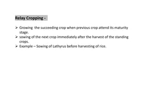Area Specific Cropping System in Relation to Farmers Economy..pptx