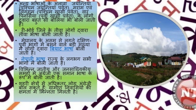 RAHUL MEENA (GROUP NO. 4 CLASS 10 B)HINDI PROJECT.pdf