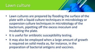 isolation and cultivation of bacteria 3rd sem.pptx