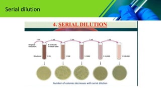 isolation and cultivation of bacteria 3rd sem.pptx