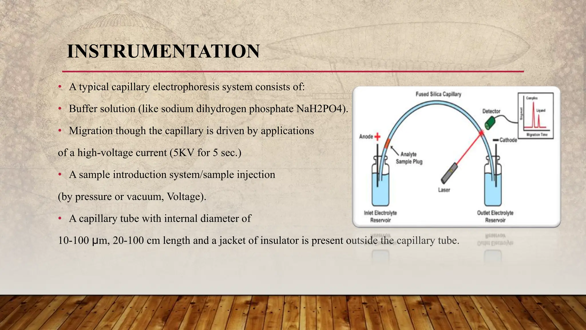 Rahul Pal- Capillary Electrophoresis.pptx