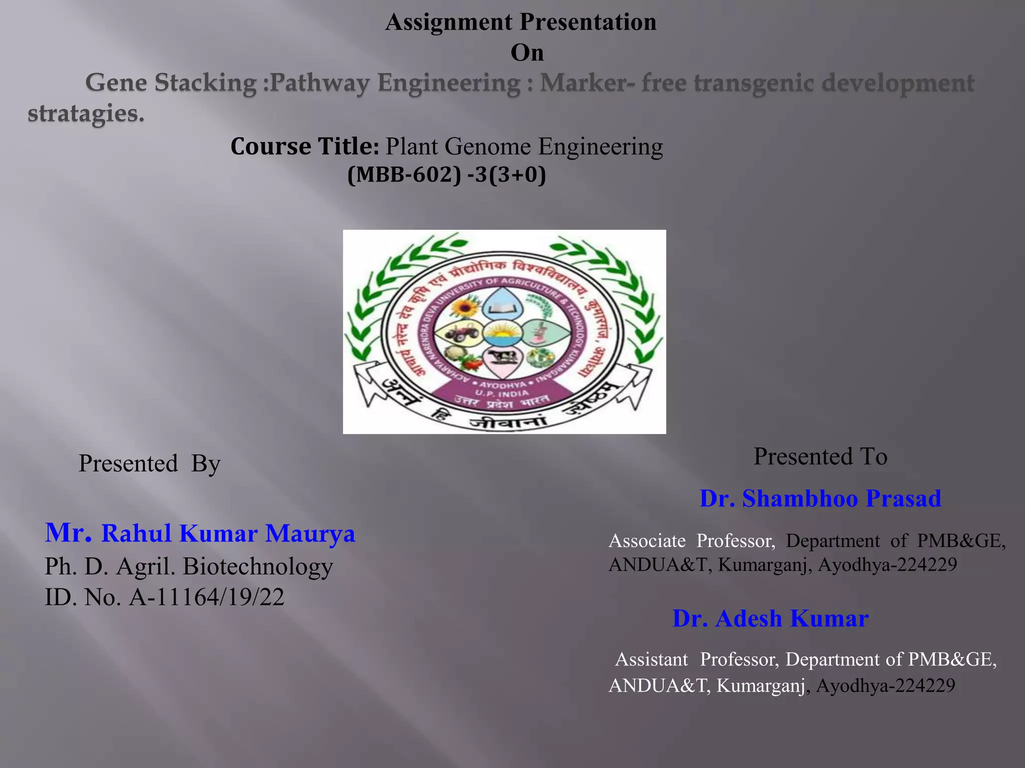 Rahul ppt Gene Stacking.pptx