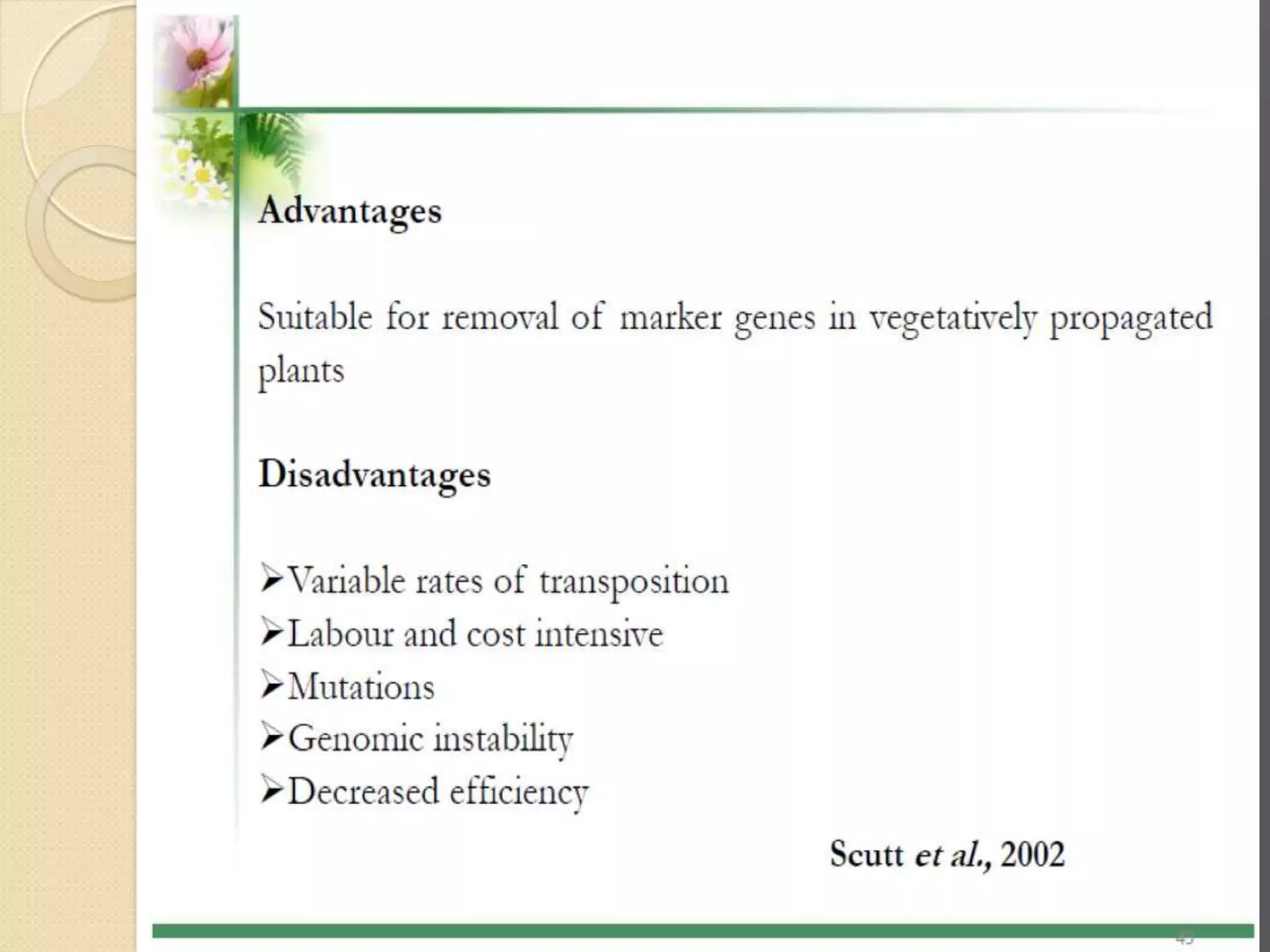 Rahul ppt Gene Stacking.pptx
