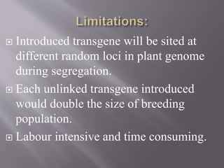 Rahul ppt Gene Stacking.pptx