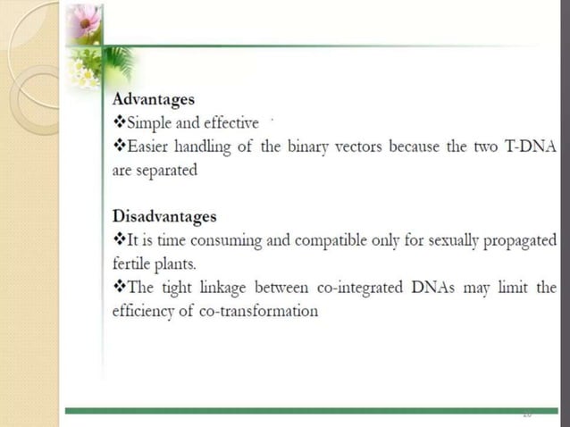 Rahul ppt Gene Stacking.pptx