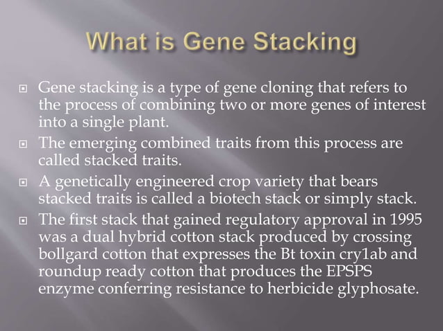 Rahul ppt Gene Stacking.pptx