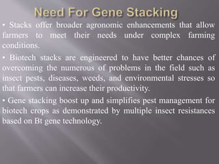 Rahul ppt Gene Stacking.pptx