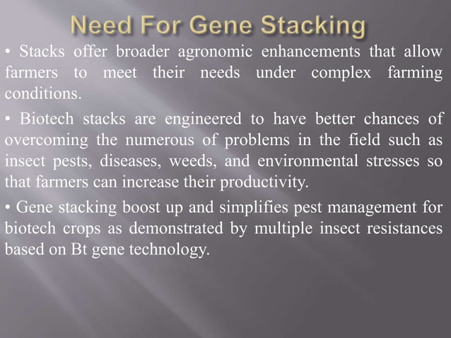 Rahul ppt Gene Stacking.pptx