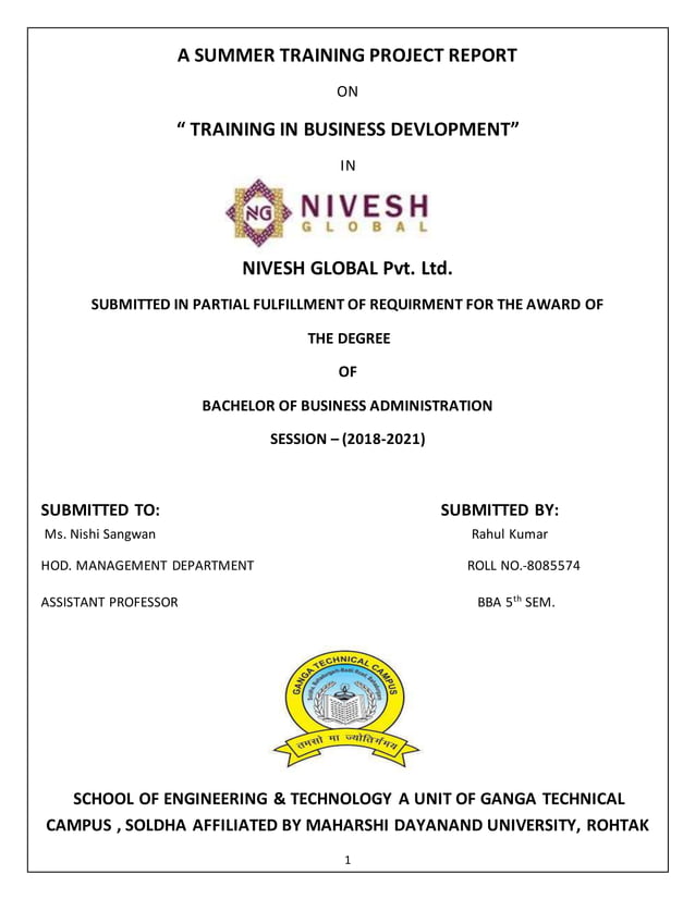 Business development summer internship project report | DOCX | Business ...