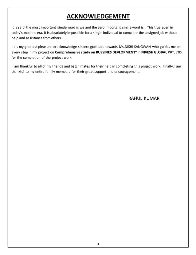 Business development summer internship project report | DOCX | Business ...