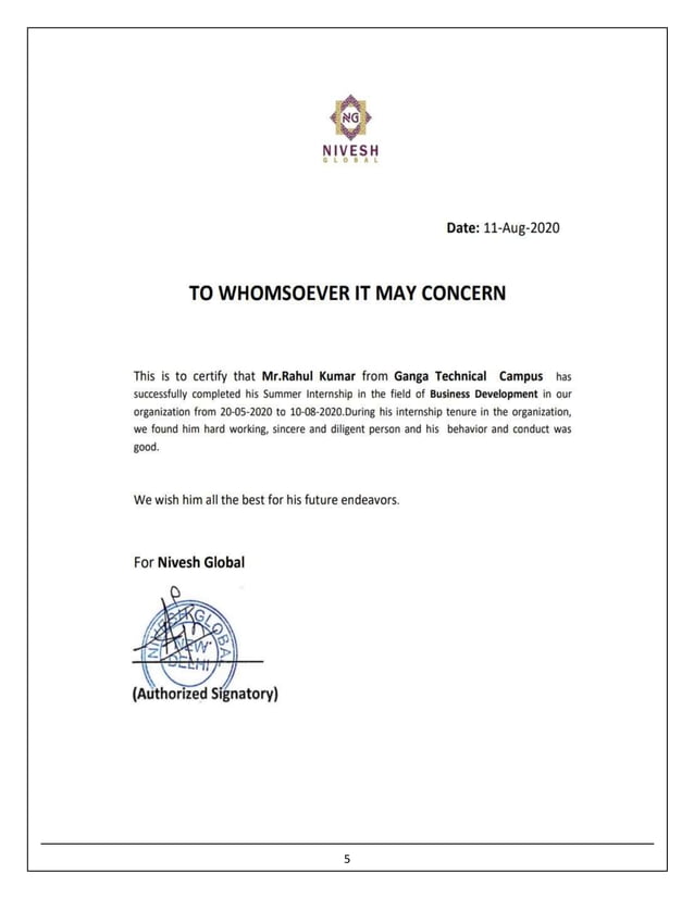 Business development summer internship project report | DOCX | Business ...