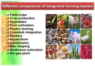 Rahul Raj - Production potential of different components of farming ...