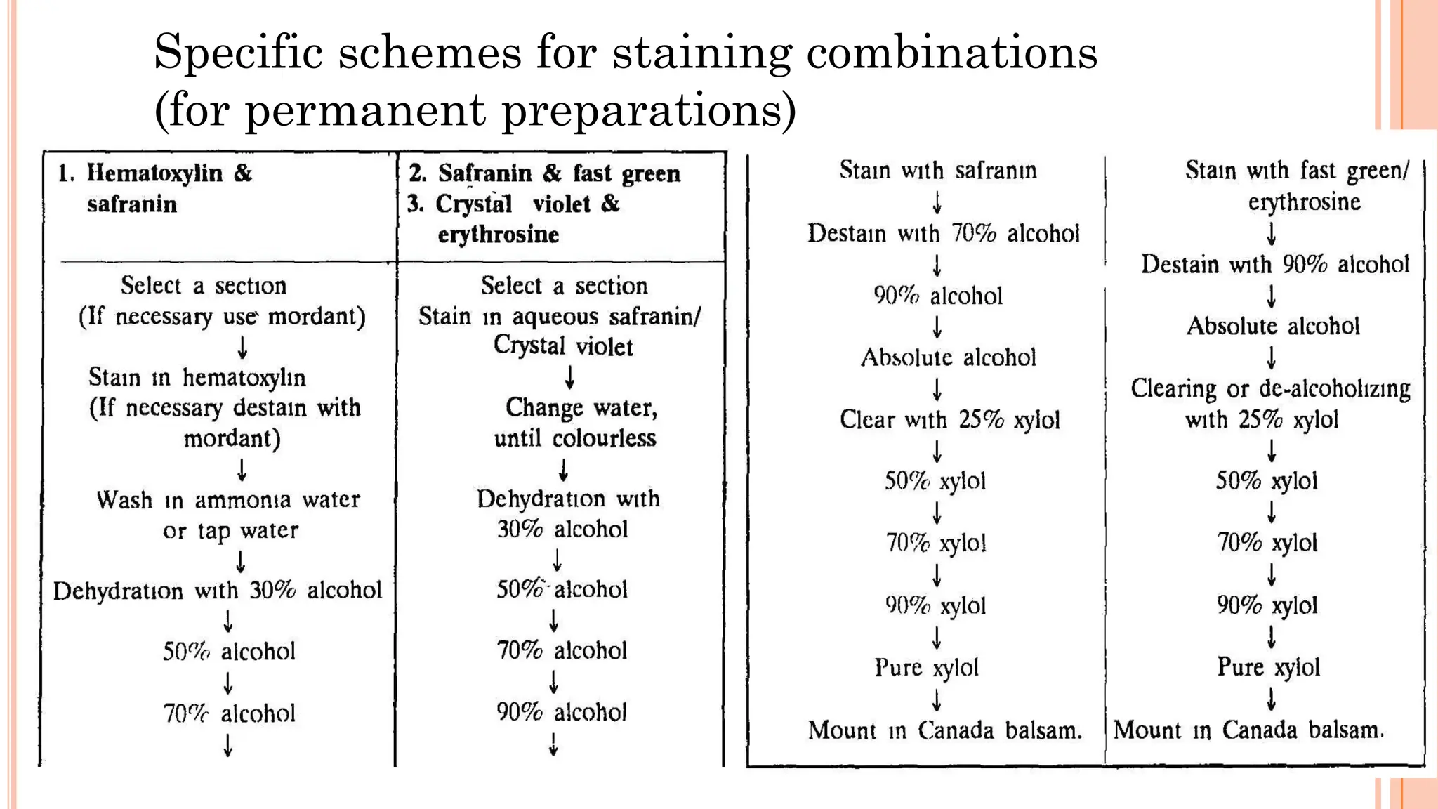 Staining Prepration - simple positive and simple negative | PPT