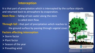 hydrological cycle/ water cycle | PPTX