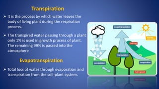 hydrological cycle/ water cycle | PPTX