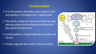 hydrological cycle/ water cycle | PPTX