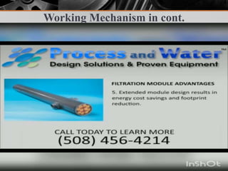 Micro-strainer and Micro-filtration in sludge disposal, food industry ...