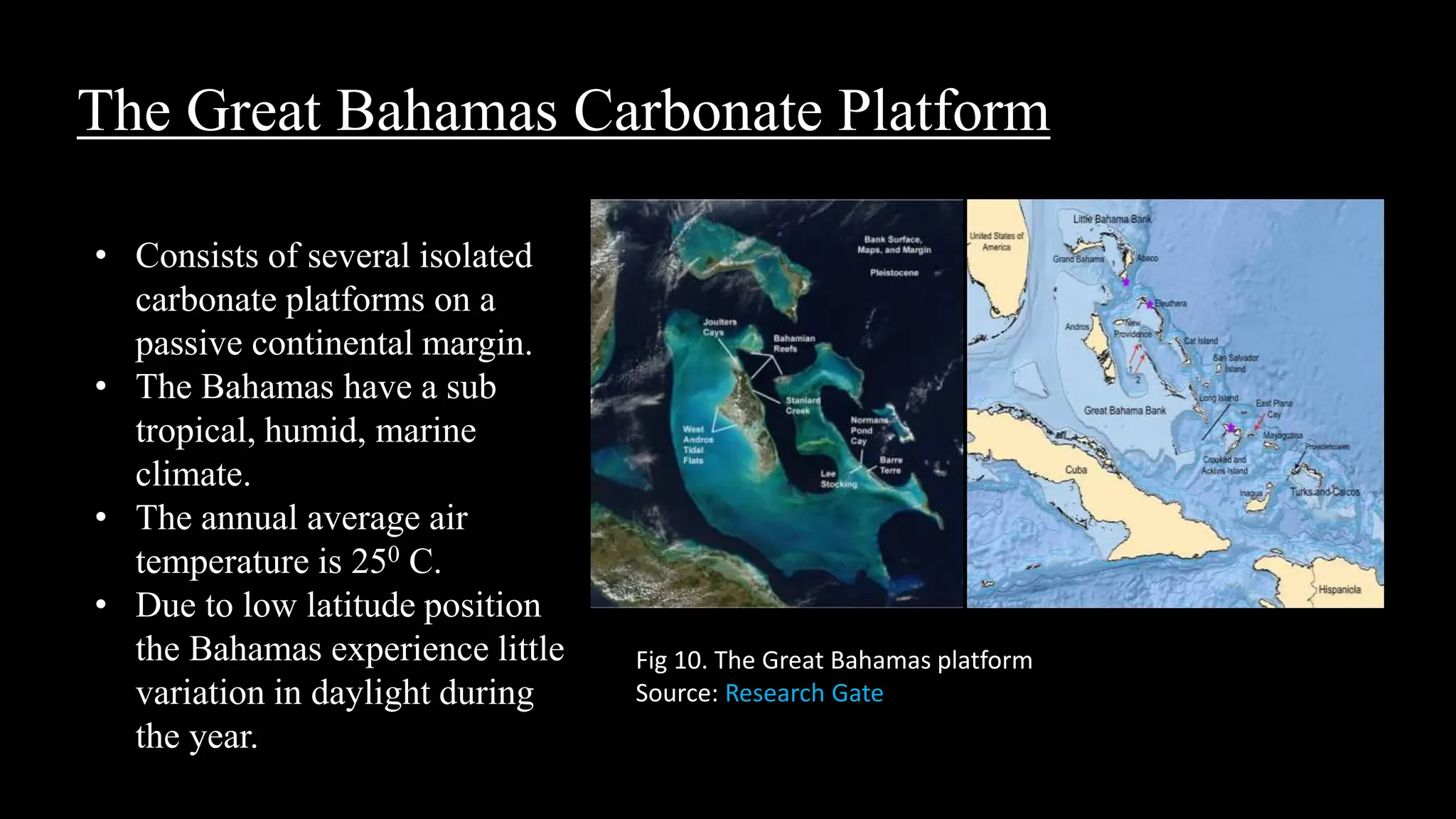Controlling Parameters of Carbonate platform Environment | PPTX