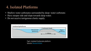 Controlling Parameters of Carbonate platform Environment | PPTX