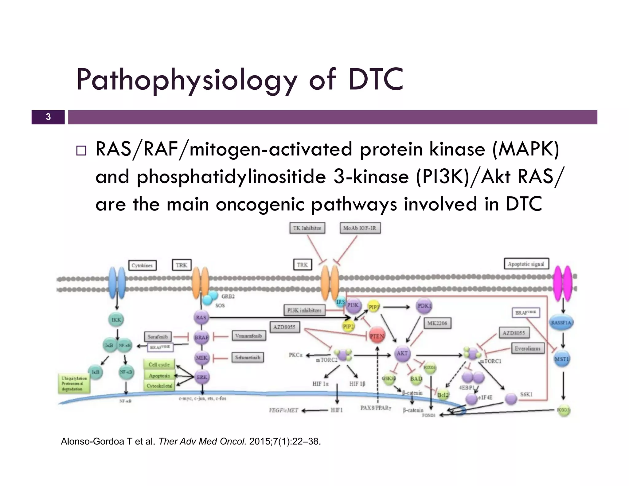 RAI resistant thyroid cancer | PDF