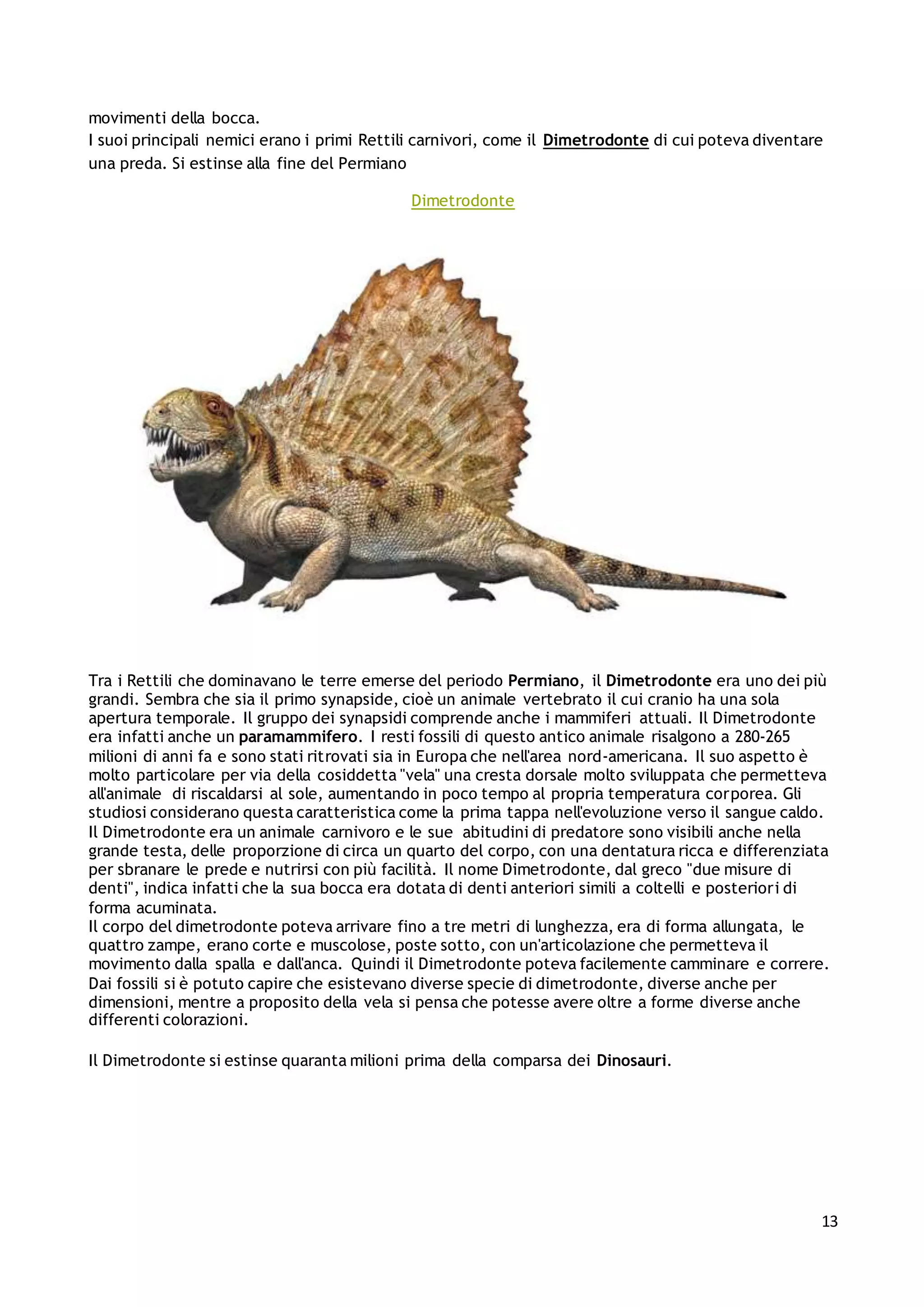 descrizione paleontologica evoluzionistica | DOCX