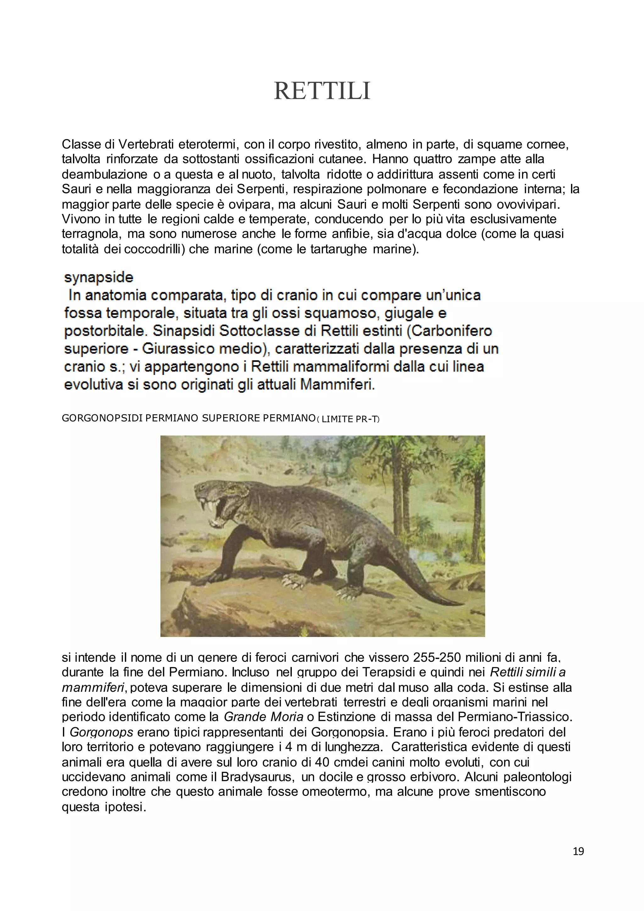 descrizione paleontologica evoluzionistica | DOCX