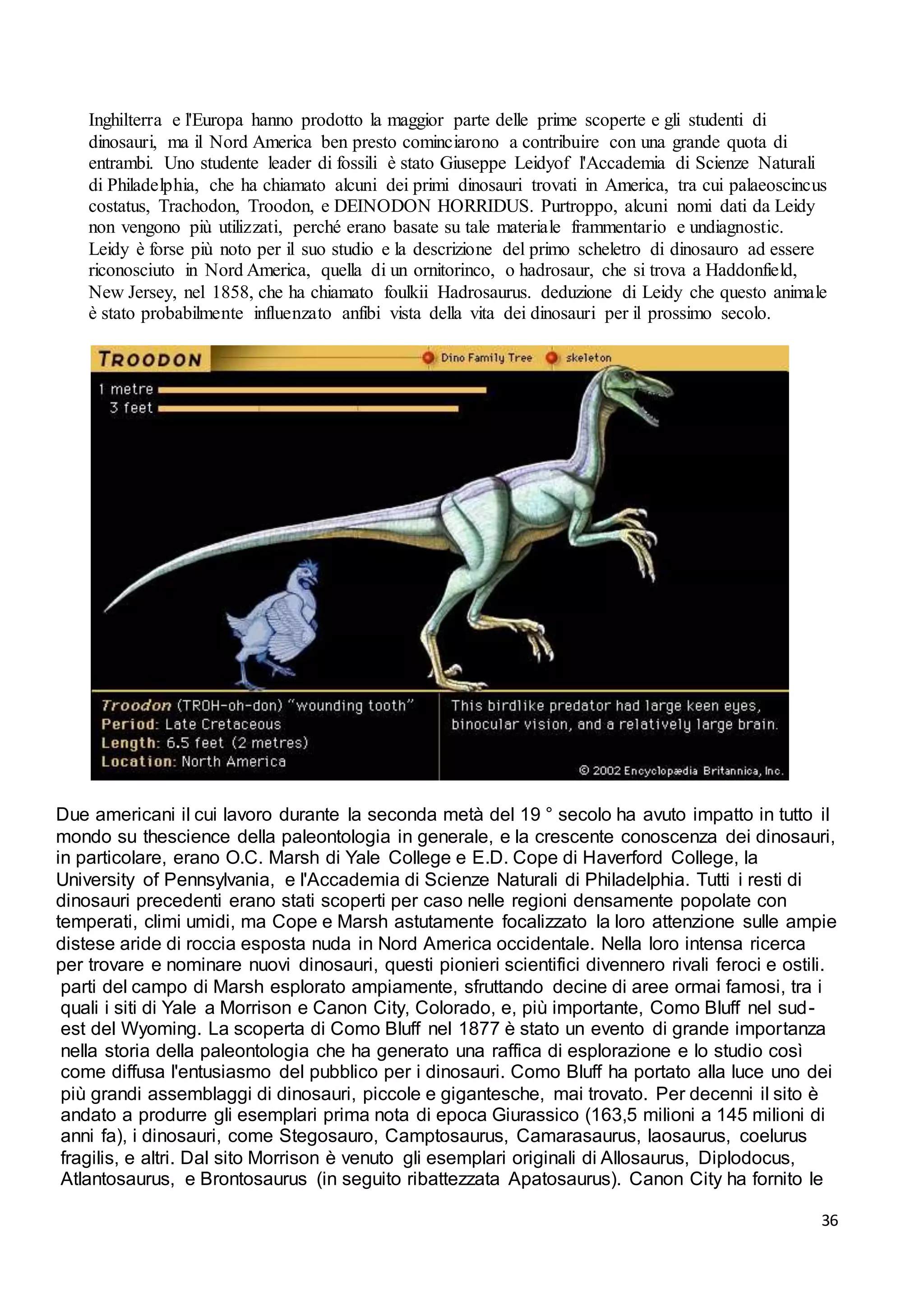 descrizione paleontologica evoluzionistica | DOCX