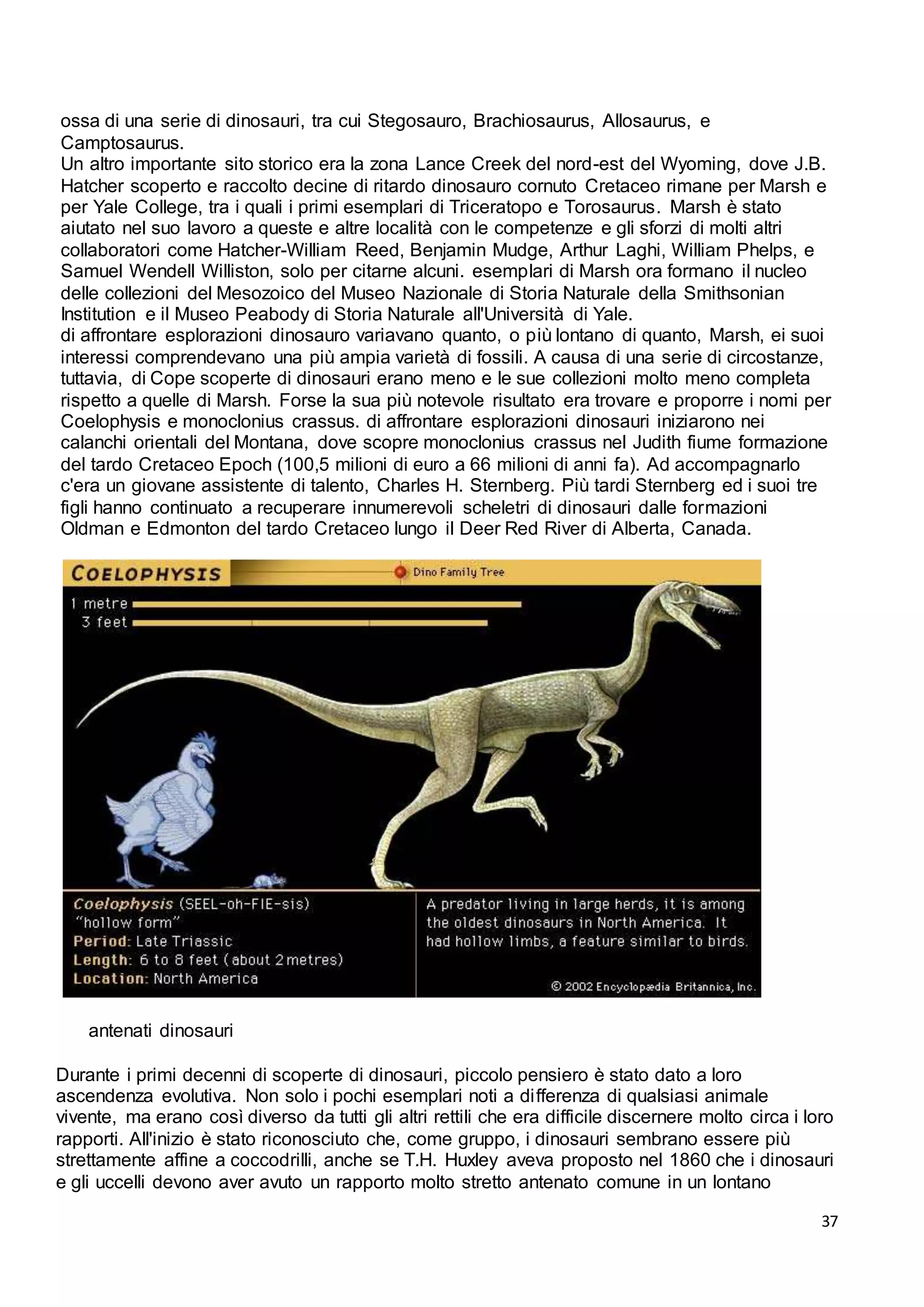 descrizione paleontologica evoluzionistica | DOCX