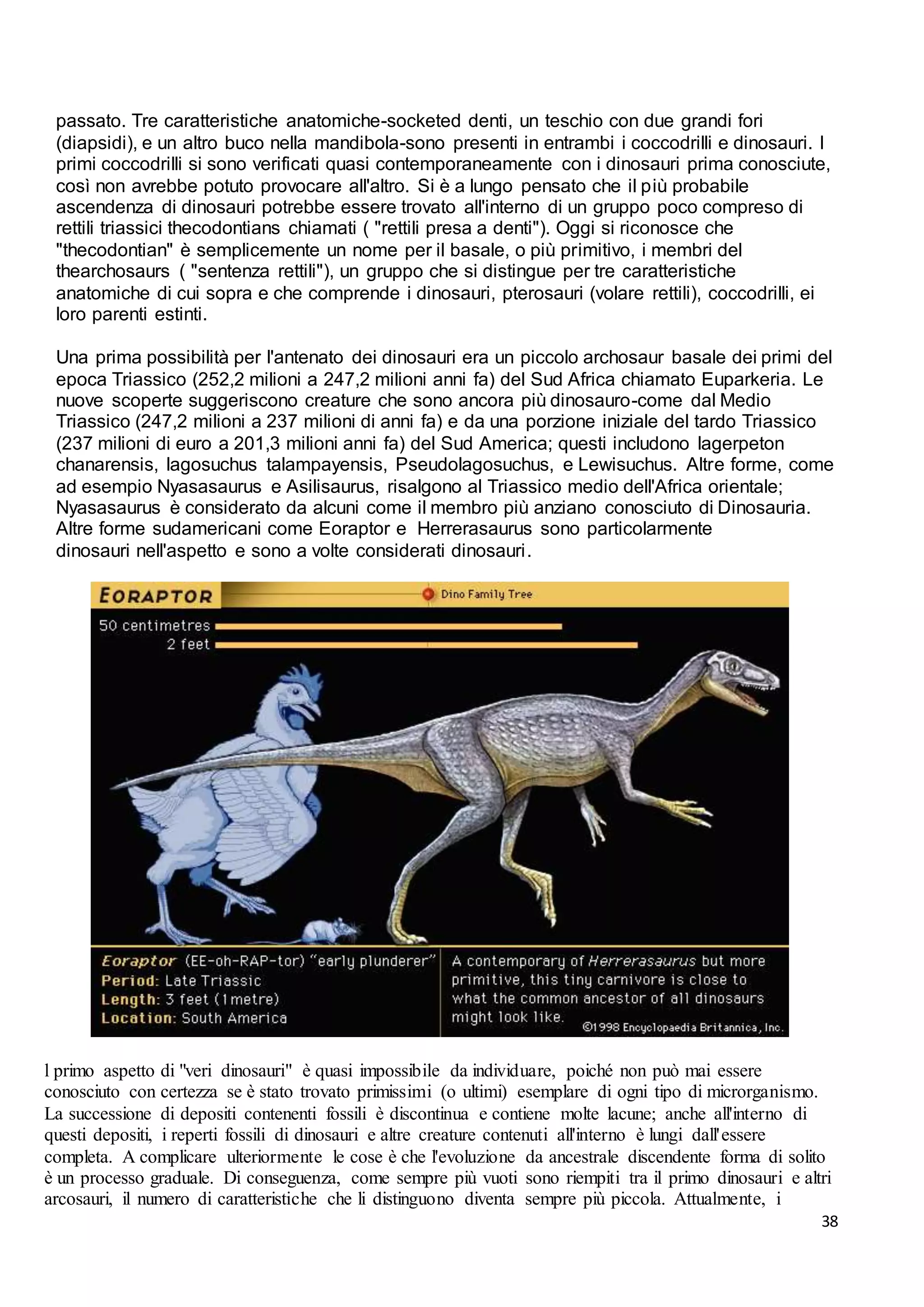 descrizione paleontologica evoluzionistica | DOCX