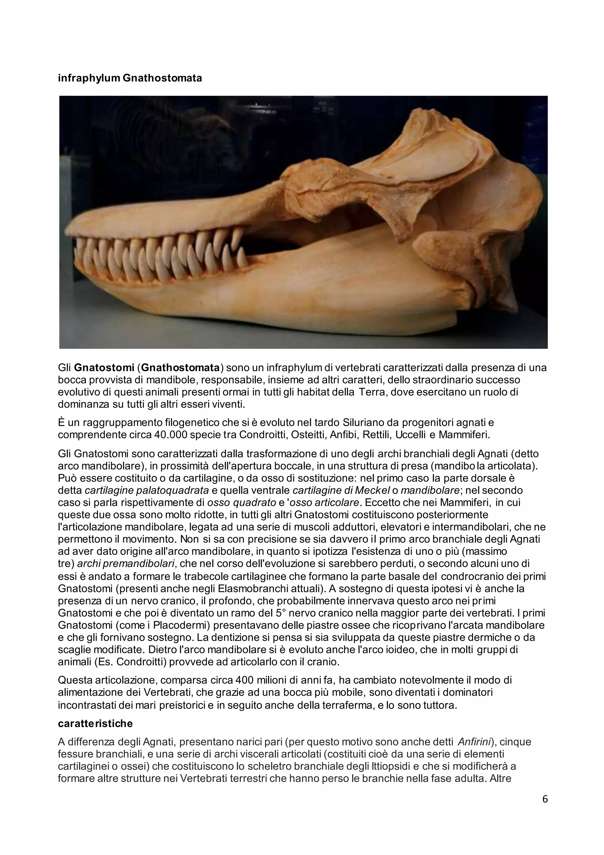 descrizione paleontologica evoluzionistica | DOCX