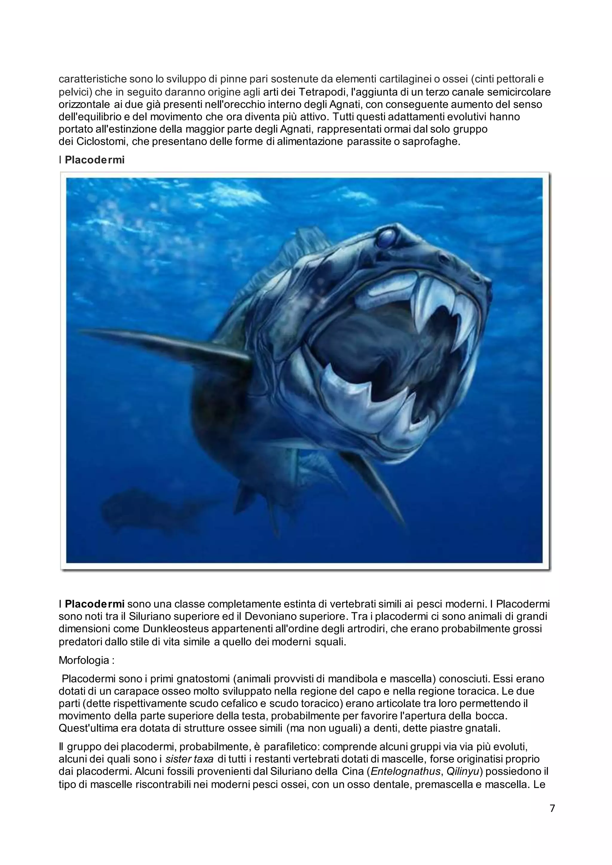 descrizione paleontologica evoluzionistica | DOCX