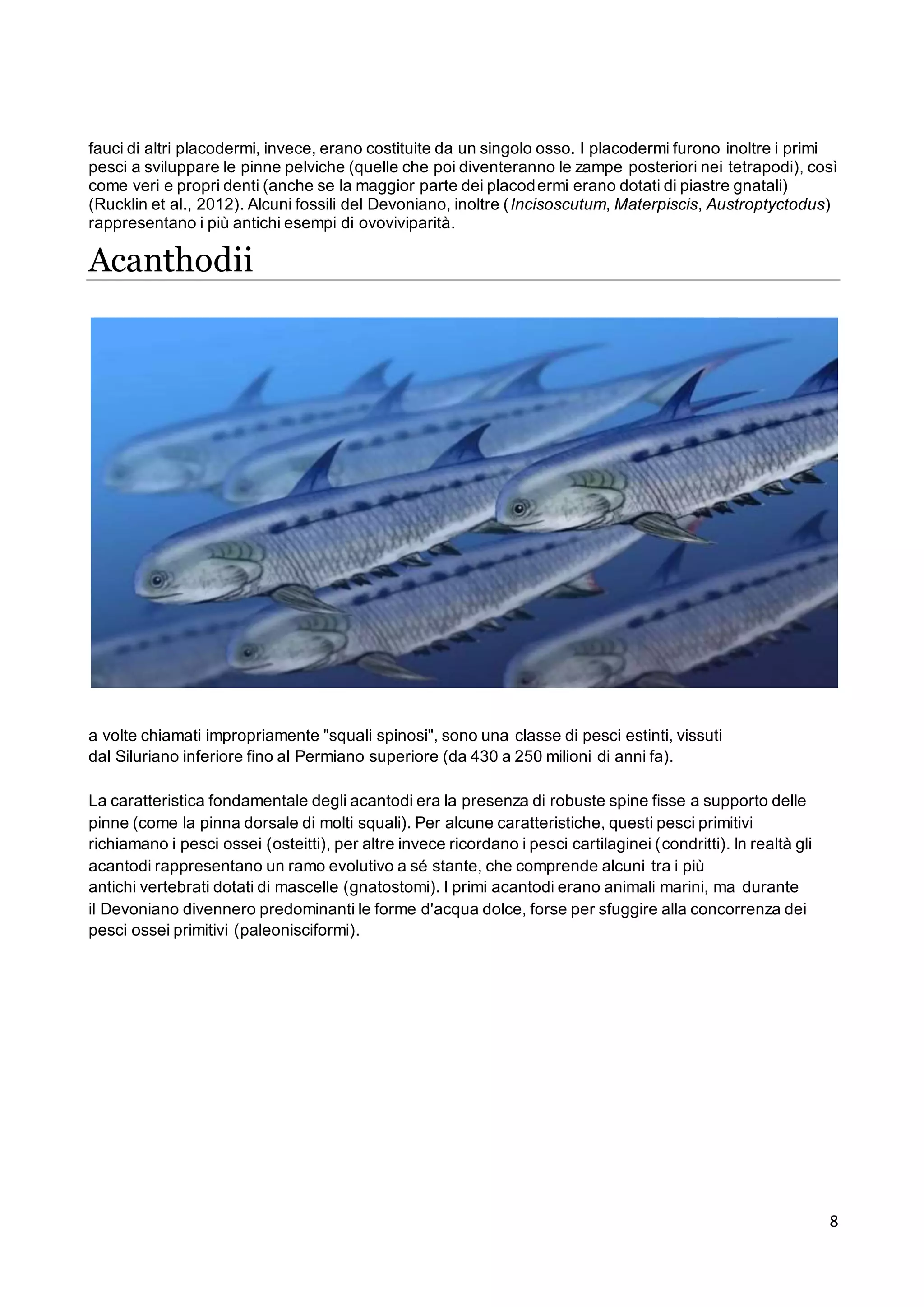 descrizione paleontologica evoluzionistica | DOCX