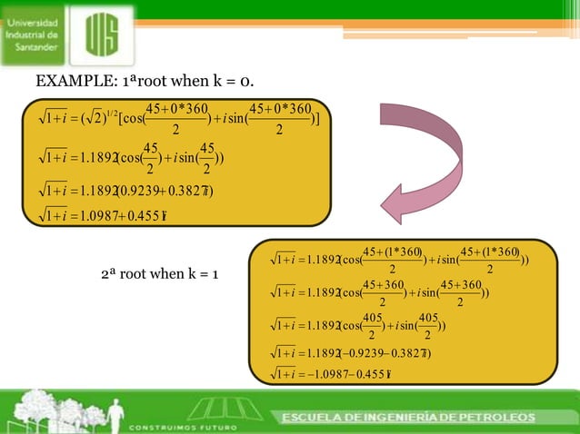 ROOTS OF EQUATIONS | PPTX | Physics | Science