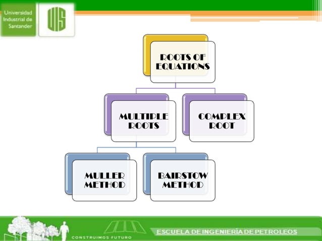 ROOTS OF EQUATIONS | PPTX | Physics | Science