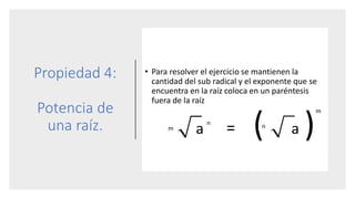 Raíces y sus propiedades ppt para repasar.pdf
