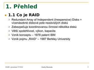 Raid | PDF