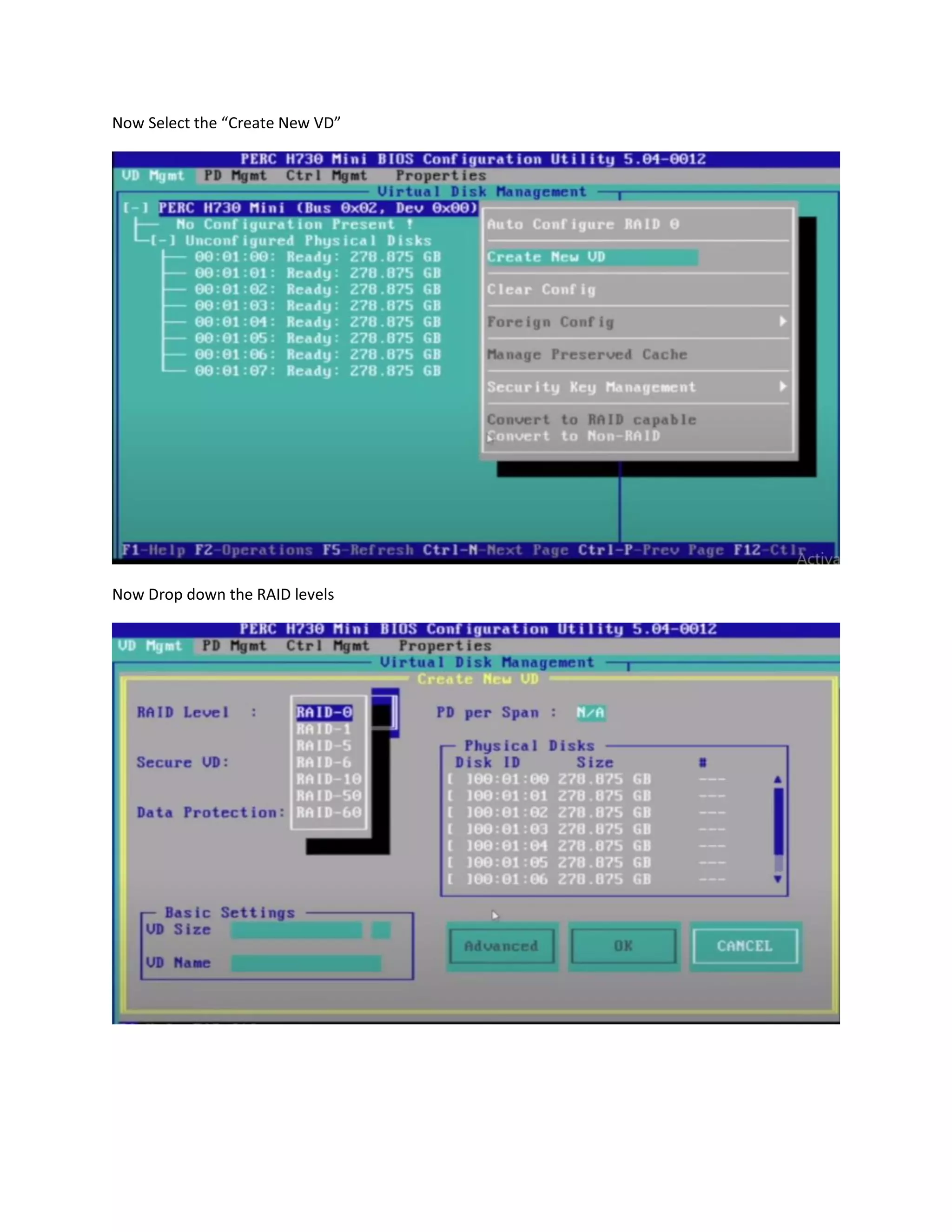 RAID-Level Configuration on BIOS of DELL Server.pdf