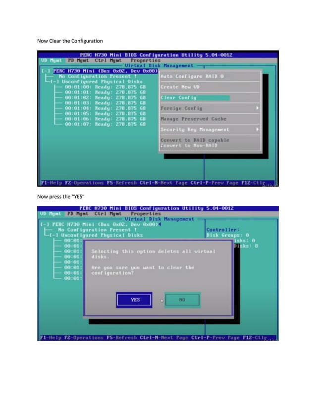 RAID-Level Configuration on BIOS of DELL Server.pdf