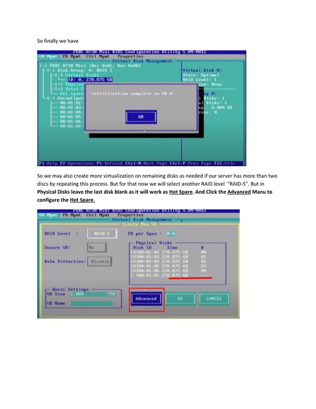 RAID-Level Configuration on BIOS of DELL Server.pdf