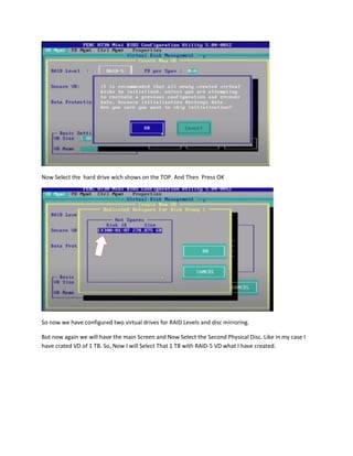 RAID-Level Configuration on BIOS of DELL Server.pdf