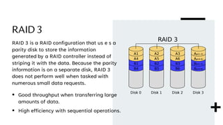 RAID-Presentation | PDF