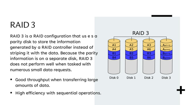 RAID-Presentation | PDF